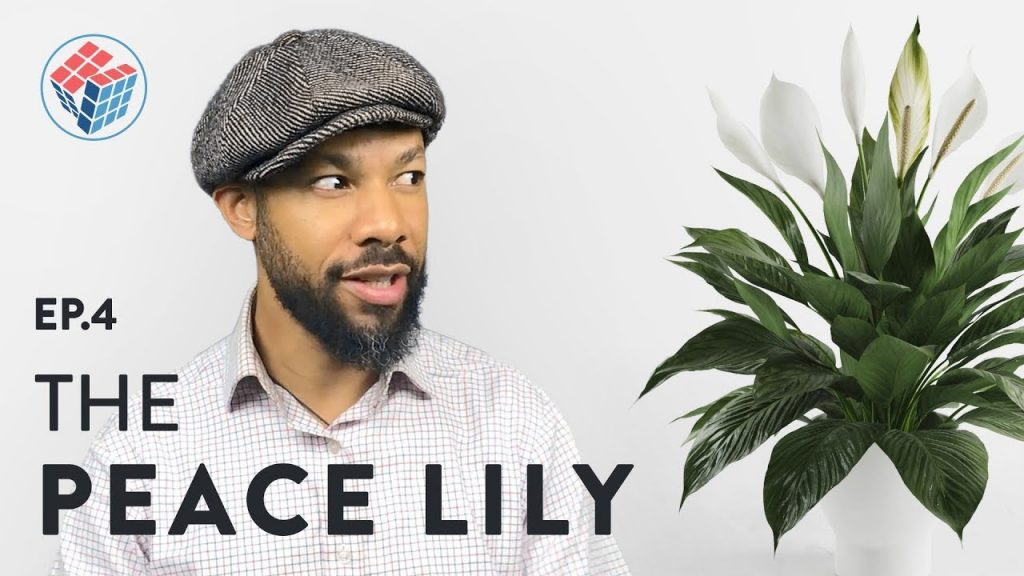 Convert Stories - Rational Religion