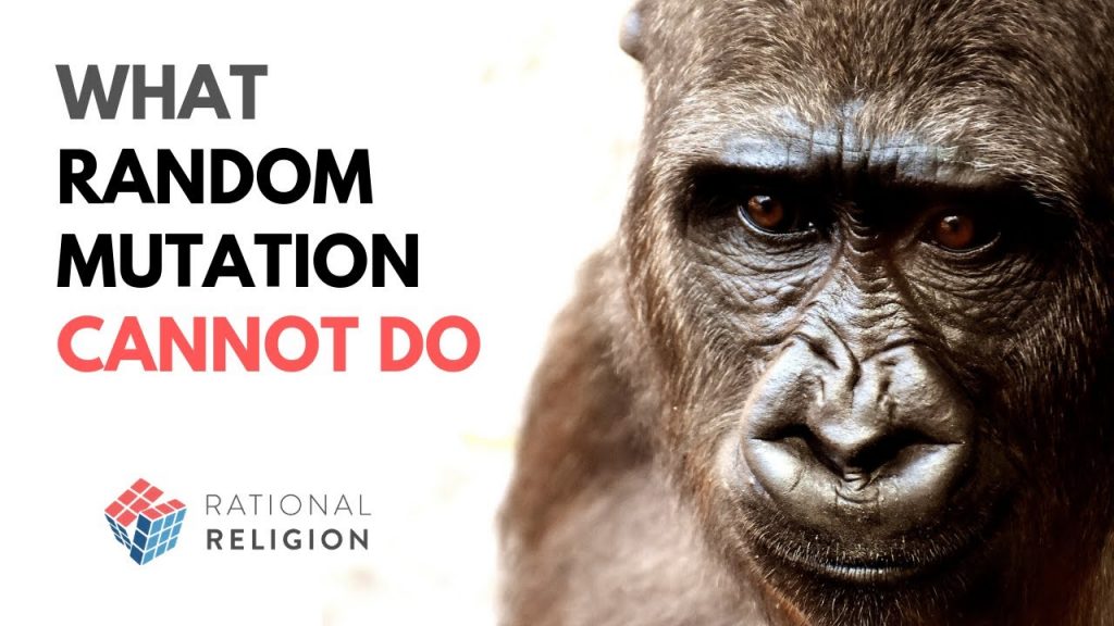 Why Random Genetic Mutation Can't Explain Evolution | "Believe You Me ...